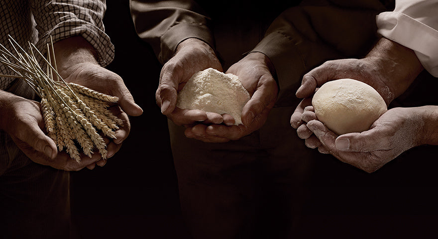 The French Bakery – Mithi Bread